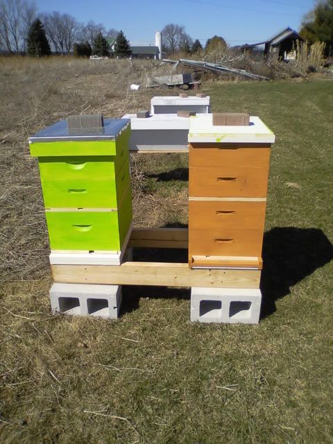 Some Random Photos | Beesource Beekeeping Forums